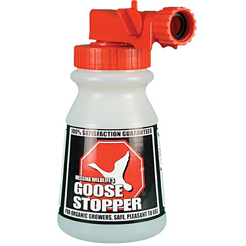 Amazon.com : Messina Wildlife's Goose Stopper Spray, 1 Quart : Home ...