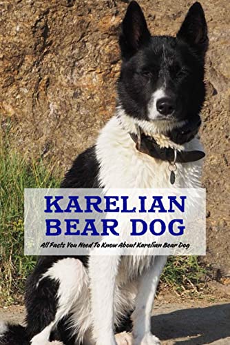 Are Karlian Bear Dogs Aggressive