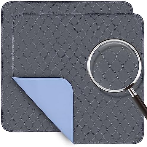 Amazon.com: Waterproof Chair Pads for Incontinence 2Pcs Resuable ...