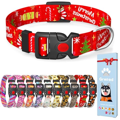Dog Holiday Collars – The 15 best products compared - Wild Explained