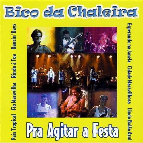 Amazon.com: Pra Agitar a Festa: 7891916213348: Bico De Chaleira: Books