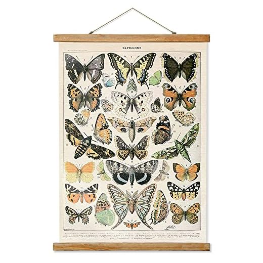 Ovfovy 빈티지 나비 포스터 50% 할인 후 6.99불 - MODUBA