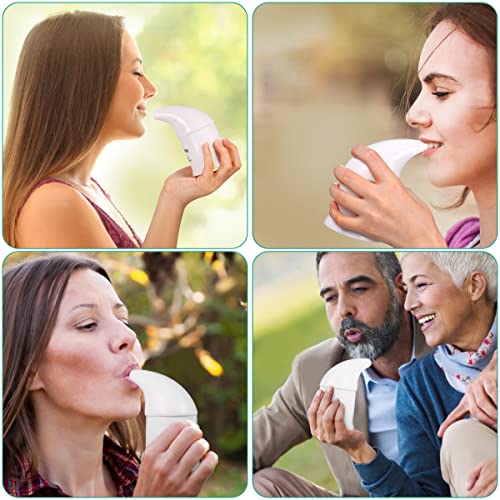 ORIA Salz Inhalator, Salzinhalator Keramik Salz Rohr Gefüllter ...