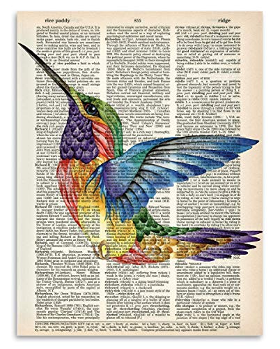 Amazon.com: Upcycled Dictionary Art - Hummingbird - Unique Colorful ...