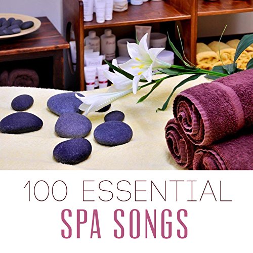 Amazon.com: 100 Essential Spa Songs : Various artists: Digital Music