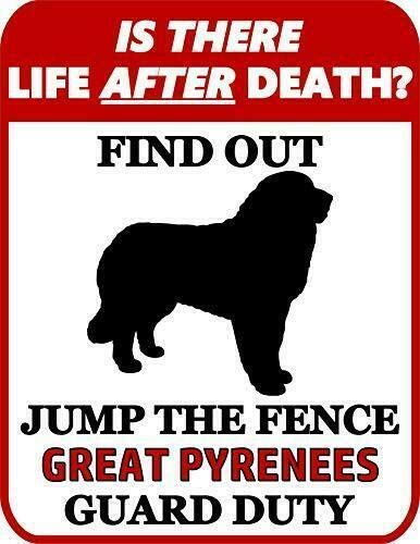 Amazon.com : Top Shelf Novelties is There Death? Jump The Fence Great ...