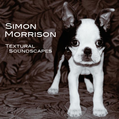 Amazon.com: Introducing Simon Morrison : Simon Morrison: Digital Music