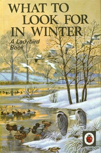 What to Look For in Winter: A Ladybird Book : Ladybird: Amazon.com.au ...