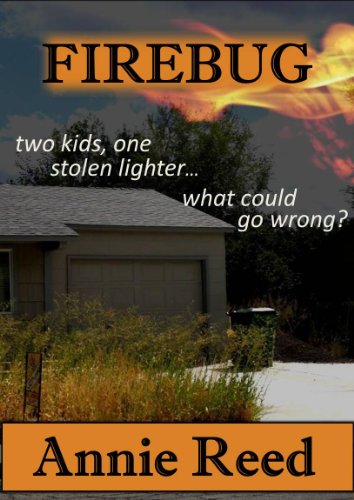 Firebug - Kindle edition by Reed, Annie. Mystery, Thriller & Suspense ...