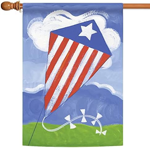 Amazon.com : Toland Home Garden 101266 USA American Flag 28x40 Inch ...