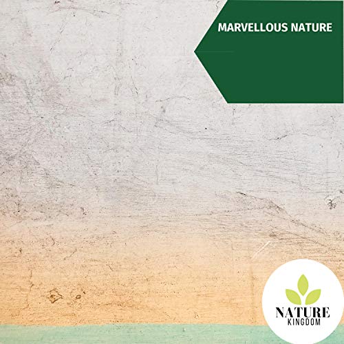 Play Marvellous Nature by Nature Field Recordings & Nature Atmospheres ...