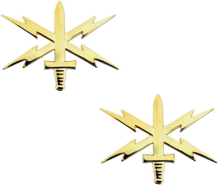 Amazon.com: Insignia Depot U.S. Army Officer Branch Cyber W.F. Brite ...