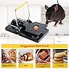 HASTHIP® 4Pcs Rat Traps House Garden Patio, Reusable Mouse Traps for ...