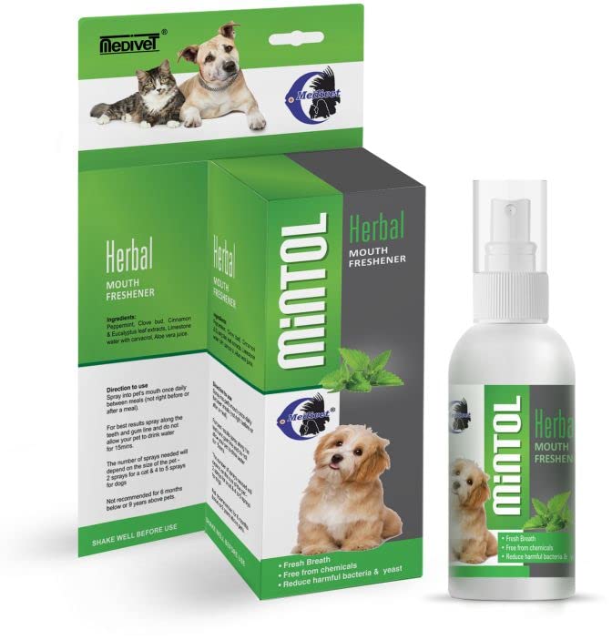 Buy Medivet Mintol Mouth Freshener | 60ml Online at Low Prices in India ...
