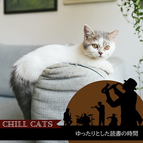 Amazon Music - Chill Catsのゆったりとした読書の時間 - Amazon.co.jp