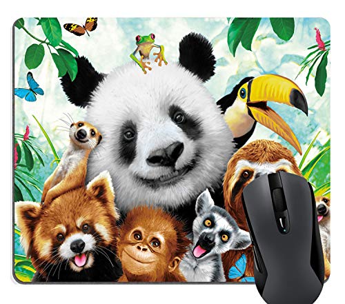 10 Must-Have Raccoon Monkey Products: A Comprehensive Review and Buying ...