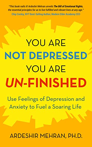 You Are Not Depressed. You Are Un-Finished.: Use Feelings of Depression and Anxiety to Fuel a ...