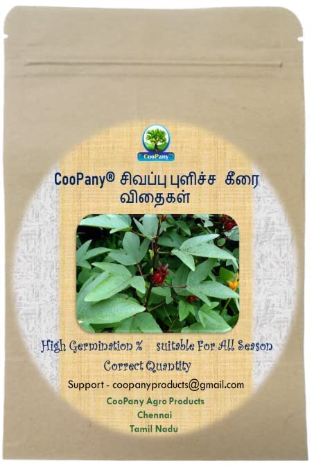 Chillaai® RED AMBADA/MESTAPAT/RED KENAF/AMAARI SEEDS 15 GRAMS SEEDS ...