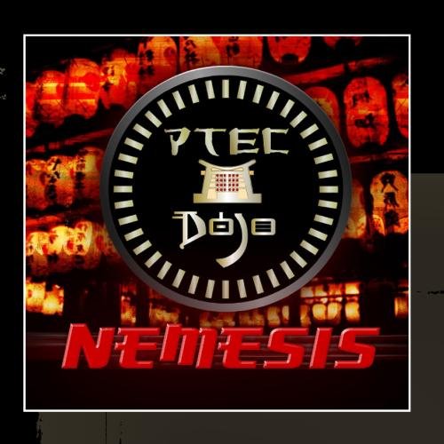 Amazon.com: Nemesis: CDs & Vinyl