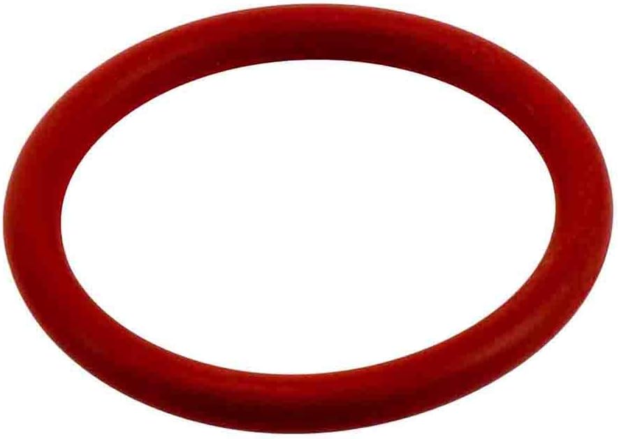 Amazon.com: GM 12623519 Radiator Pipe O-Ring Seal : Automotive
