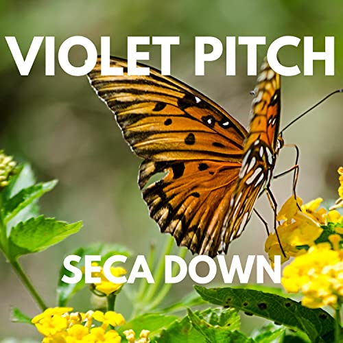 SECA DOWN : Violet Pitch: Amazon.fr: Digital Music
