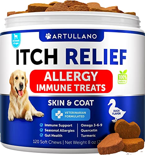 Top 10 Homeopathic Remedies and Buying Guide to Soothe Your Dog's Itchy ...