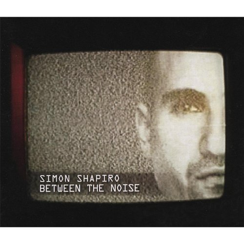 Amazon.com: Between The Noise : Simon Shapiro: Digital Music