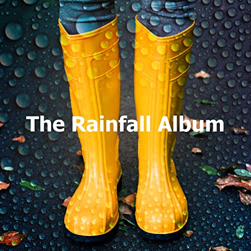 Amazon.co.jp: The Rainfall Album : The Calm Factory: Digital Music