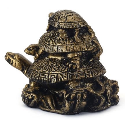 Buy Earth Tortoise 3 in 1" (Multicolor, 4.25 x 2.5 x 3 in) Online at ...