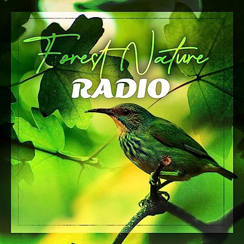Amazon MusicでForest, Sommeil Profond & Nature Sounds RadioのForest ...