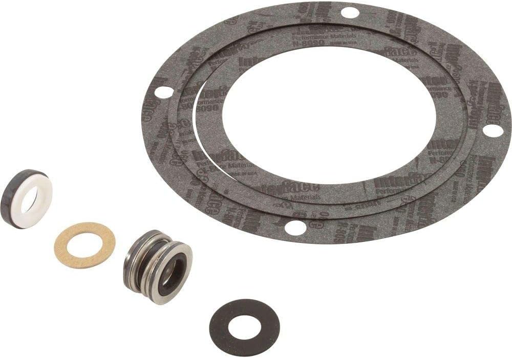 Amazon.com: Pentair PP1700 Seal Gasket Replacement Kit Sta-Rite Pool ...