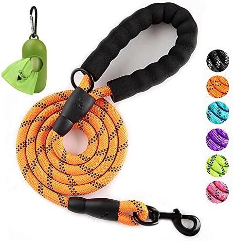 Amazon.com : Magic Diary Dog Leashes 5 FT Heavy Duty Nylon Rope ...