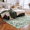 Amazon.com: Lahome Rabbit 5x7 Washable Rugs for Living Room, Animal ...