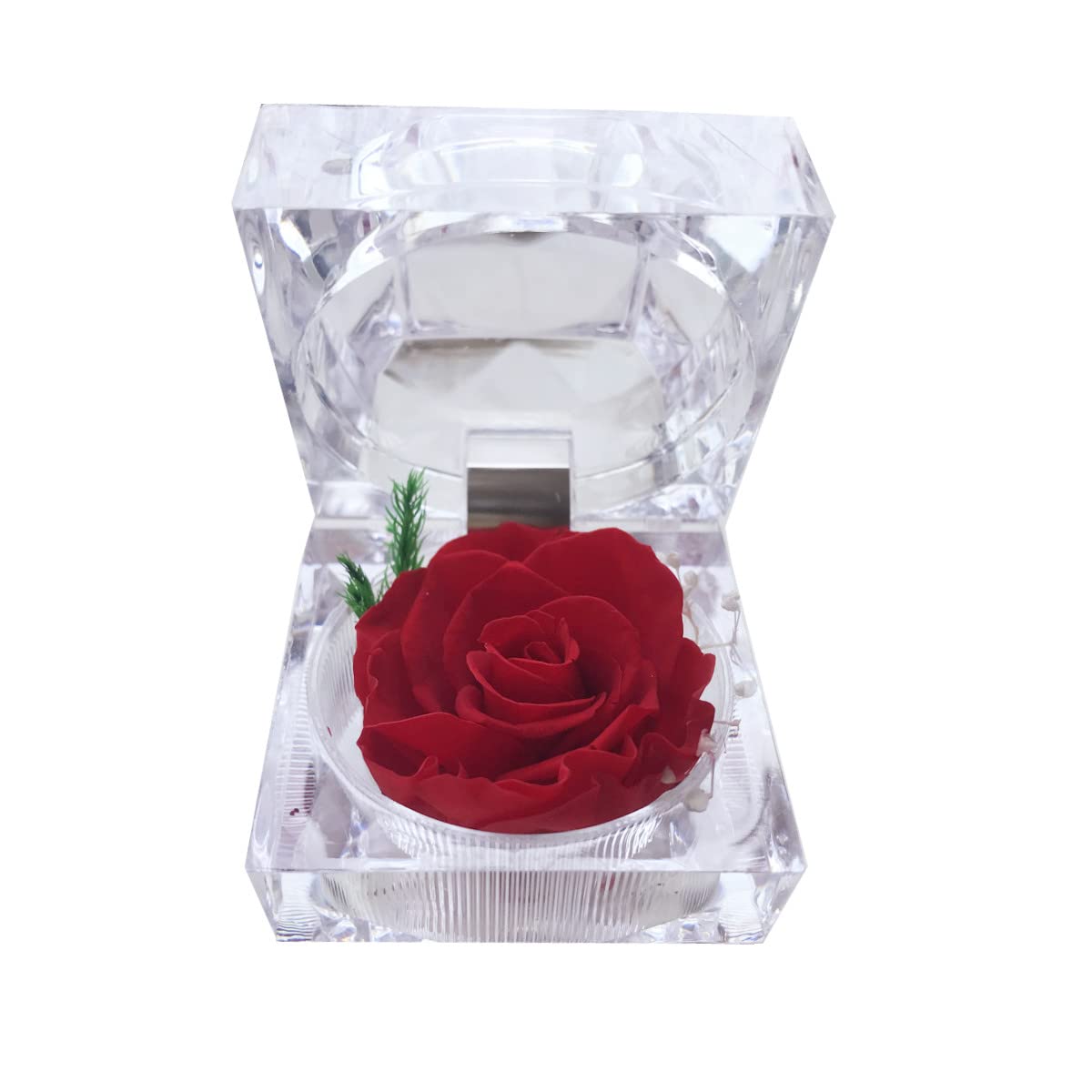 Amazon.com: DoraMagic Preserved Rose Real Forever Rose in Mini Clear ...