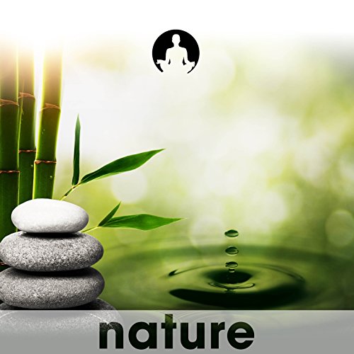 Play Dreams of Purity by Mindful Spirit on Amazon Music