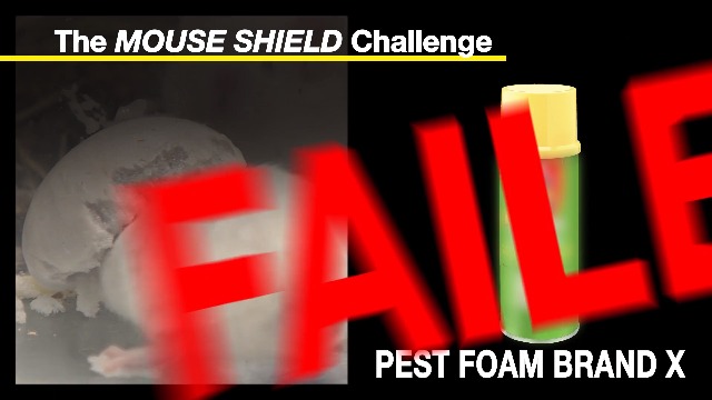 Snapklik.com : DAP 4001012506 12OZ Mouse Foam Sealant