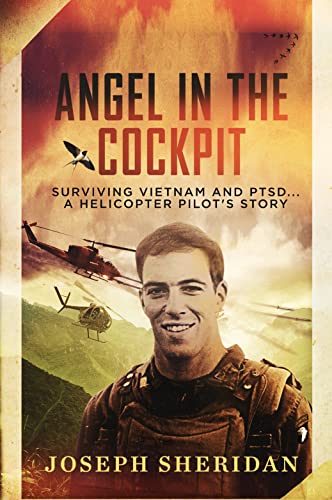 Amazon.com: Angel In The Cockpit: Surviving Vietnam And PTSD . . . A ...