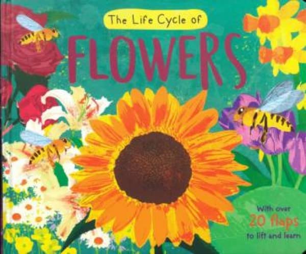 The Life Cycle of Flowers (Life Cycle Board Book): Amazon.co.uk: Moore ...