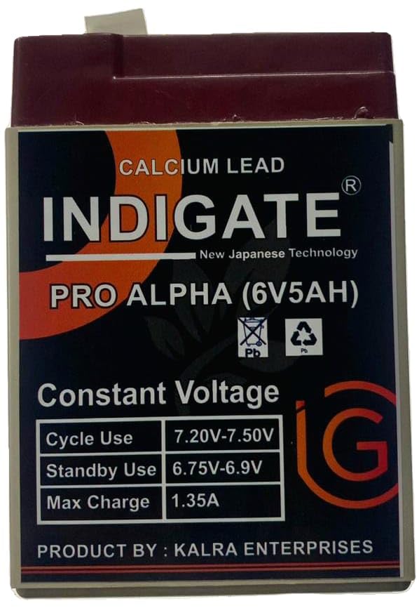 Indigate 6v4.5ah Battery for Toys, Solar, Emergency Lights, Security ...