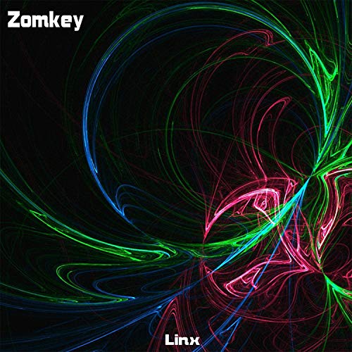 Amazon.com: Linx : Zomkey: Digital Music