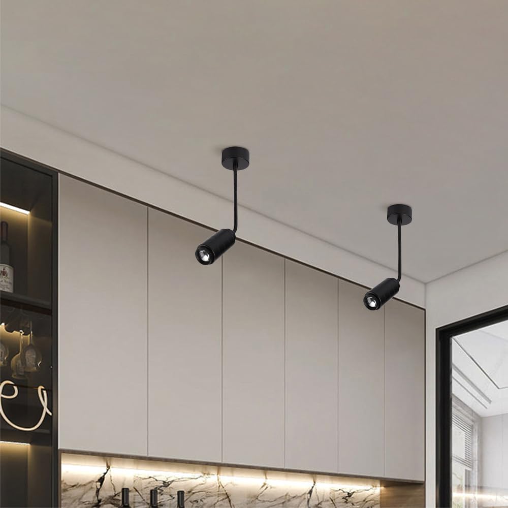 Ceiling Mount Reading Light
