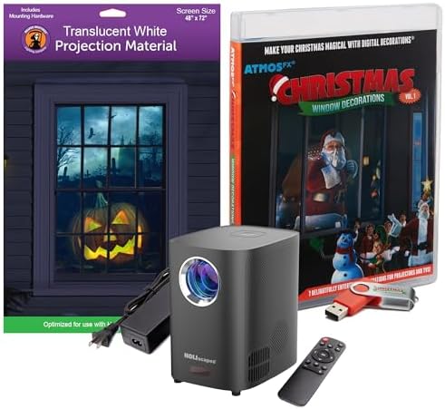 Amazon.com: WindowFX Holiday Video Decorating Kit with Remote Control ...