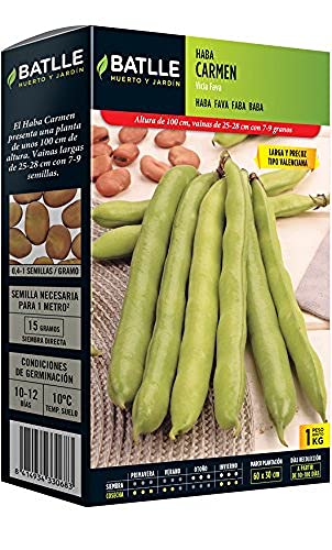 Cultivo de Habas ¿Cuándo se siembran? ⋆ Cultivar mi Huerto