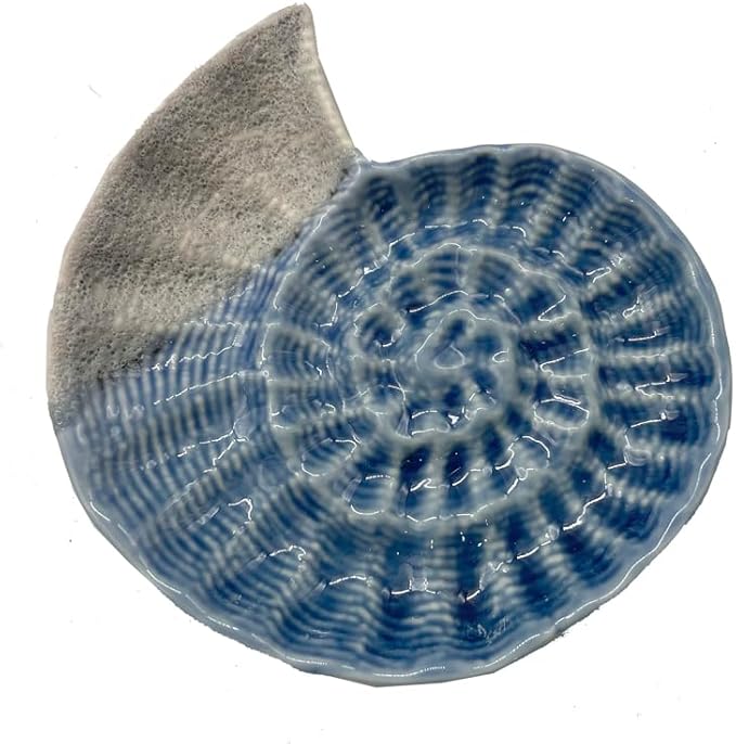 Amazon.com: The Bridge Collection 4" Conch Plate - Seashell Dish ...