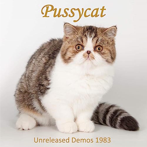 Amazon.com: Unreleased Demos 1983 : Pussycat: Digital Music