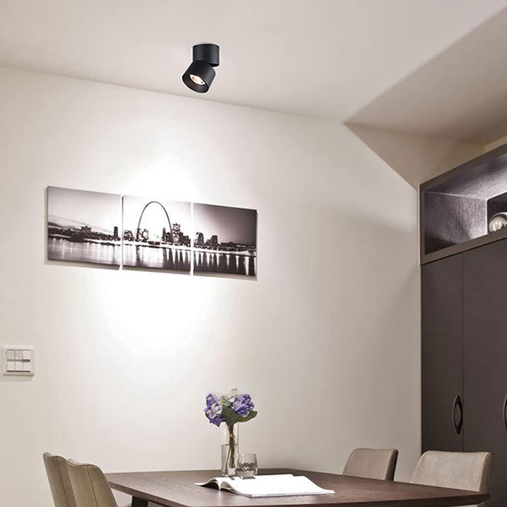 Room Spotlight Lighting