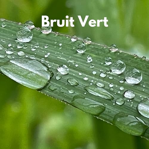 Amazon Music - Bruit Blanc HDのBruit Vert - Amazon.co.jp