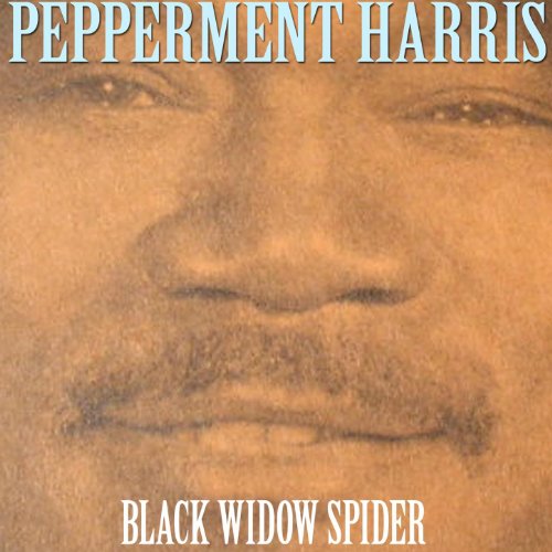 Play ABCs, Vol. 5 by Peppermint Harris on Amazon Music