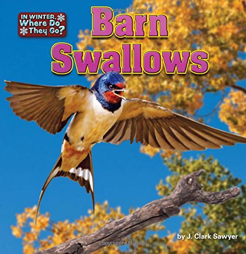 Barn Swallows (In Winter, Where Do They Go?): Sawyer, J. Clark ...