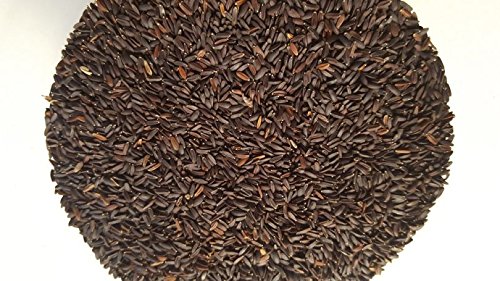 NatureHerbs Tukmalanga Seed (2000g) : Amazon.in: Grocery & Gourmet Foods